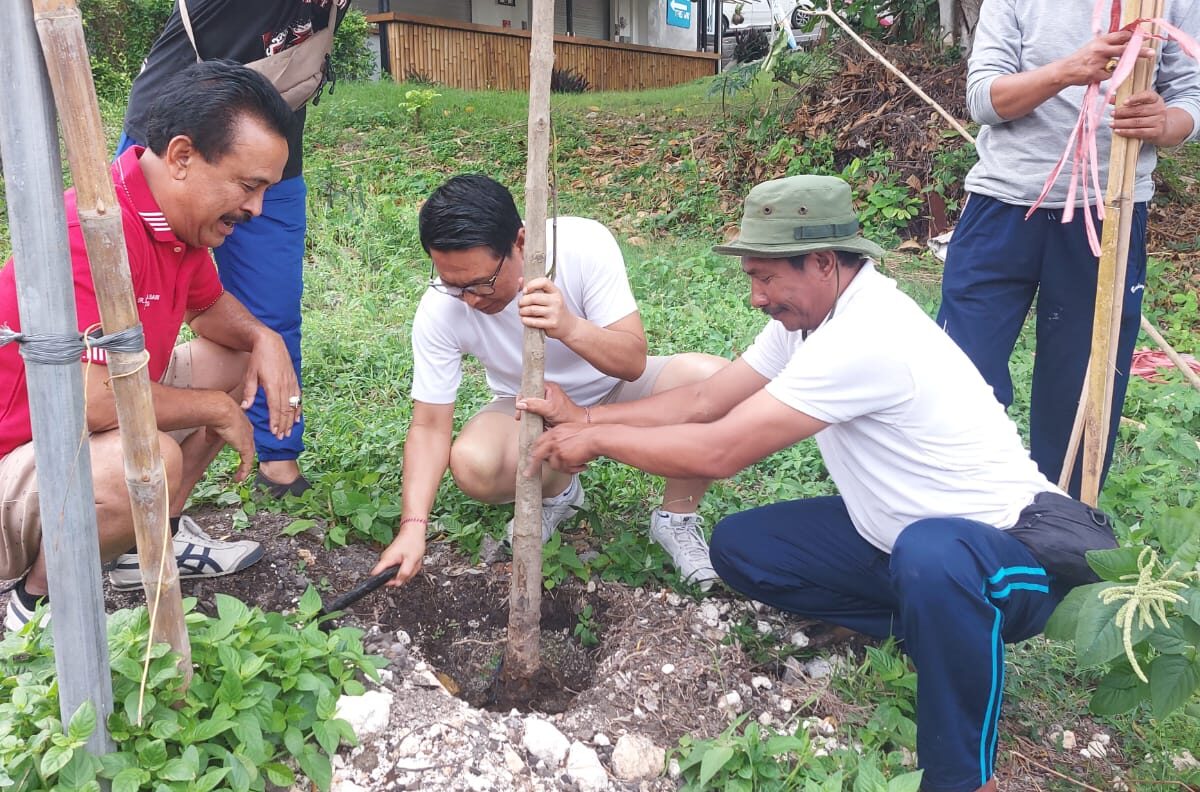 1.000 Pohon Tebuya Ditanam di Sepanjang Jalan Labuan Sait-Pecatu