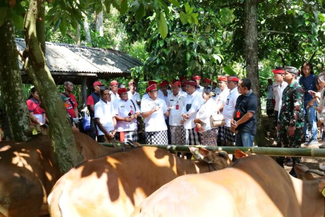 Program Bungan Desa Ke-47, Bupati Tabanan Angkat Potensi Peternakan di ... Program Bungan Desa Ke-47, Bupati Tabanan Angkat Potensi Peternakan di ...